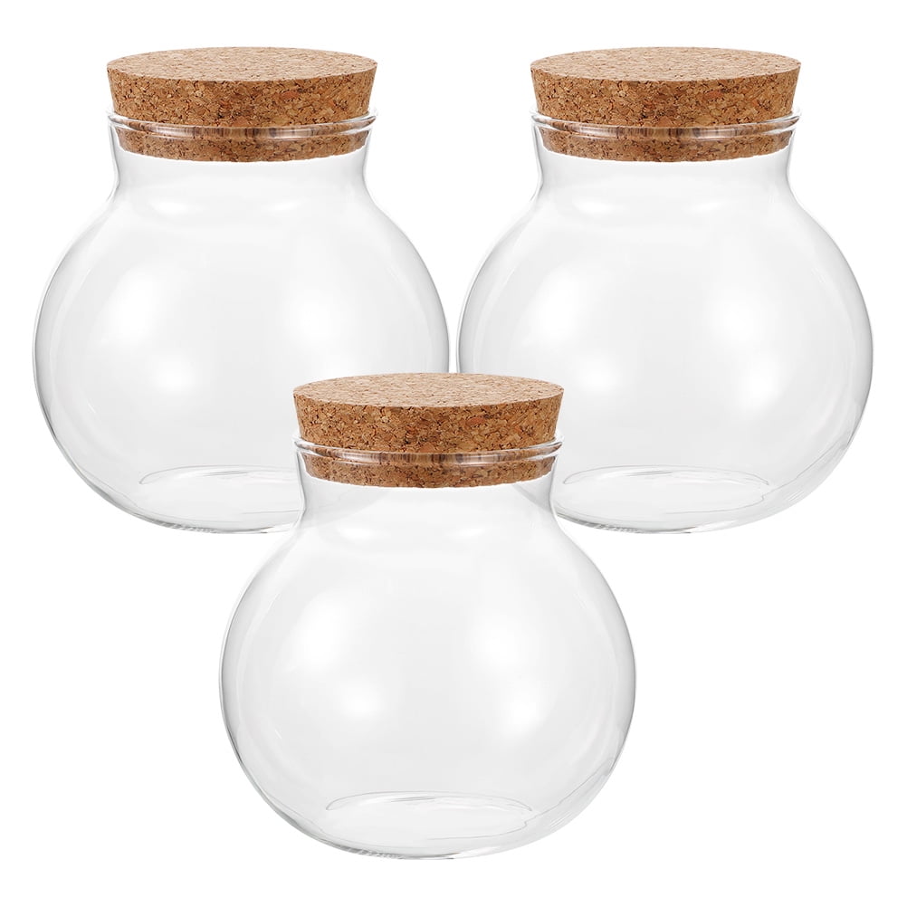 TEHAUX 3 Pcs Jars Plant Terrarium Propagation Station Eco Bottle ...