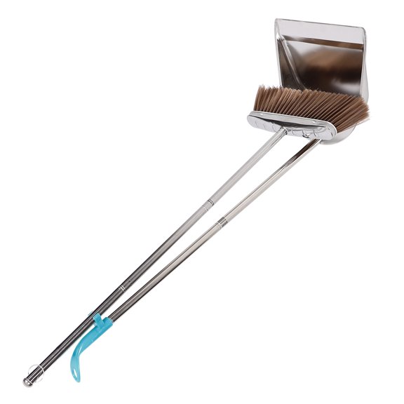 Silver Broom