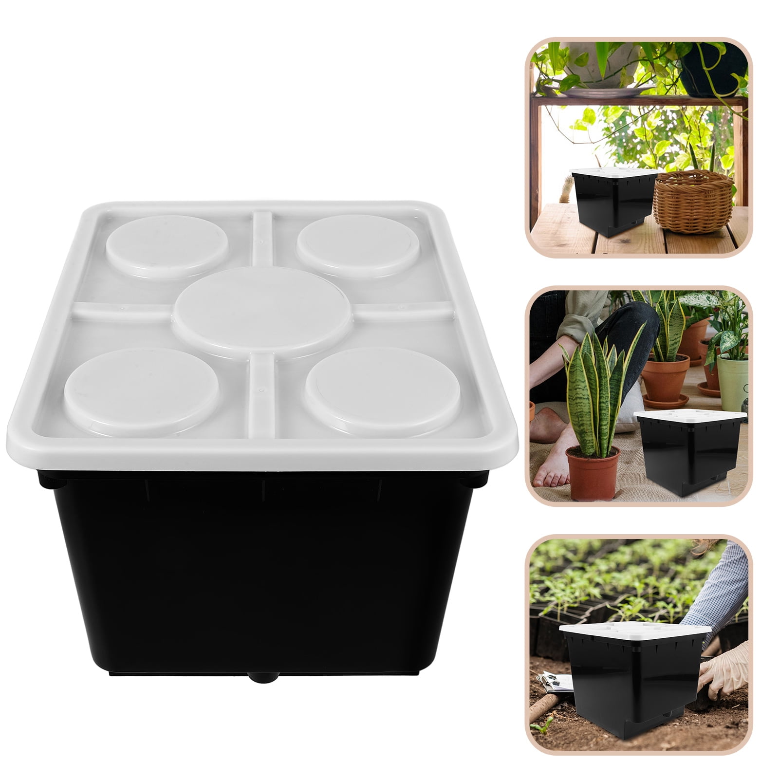 TEHAUX Netherlands Barrel Plants Seed Tray Planter Seeds Vegetables ...