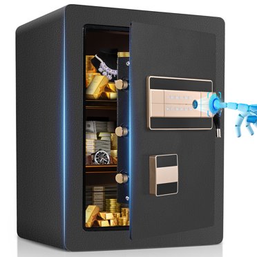 Pacsafe Travelsafe GII TSA Approved Security Case with Lock, Travel ...