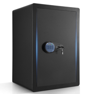 First Alert 0.67 cu. ft. Top-Opening Anti-Theft Digital Safe, 2079F ...