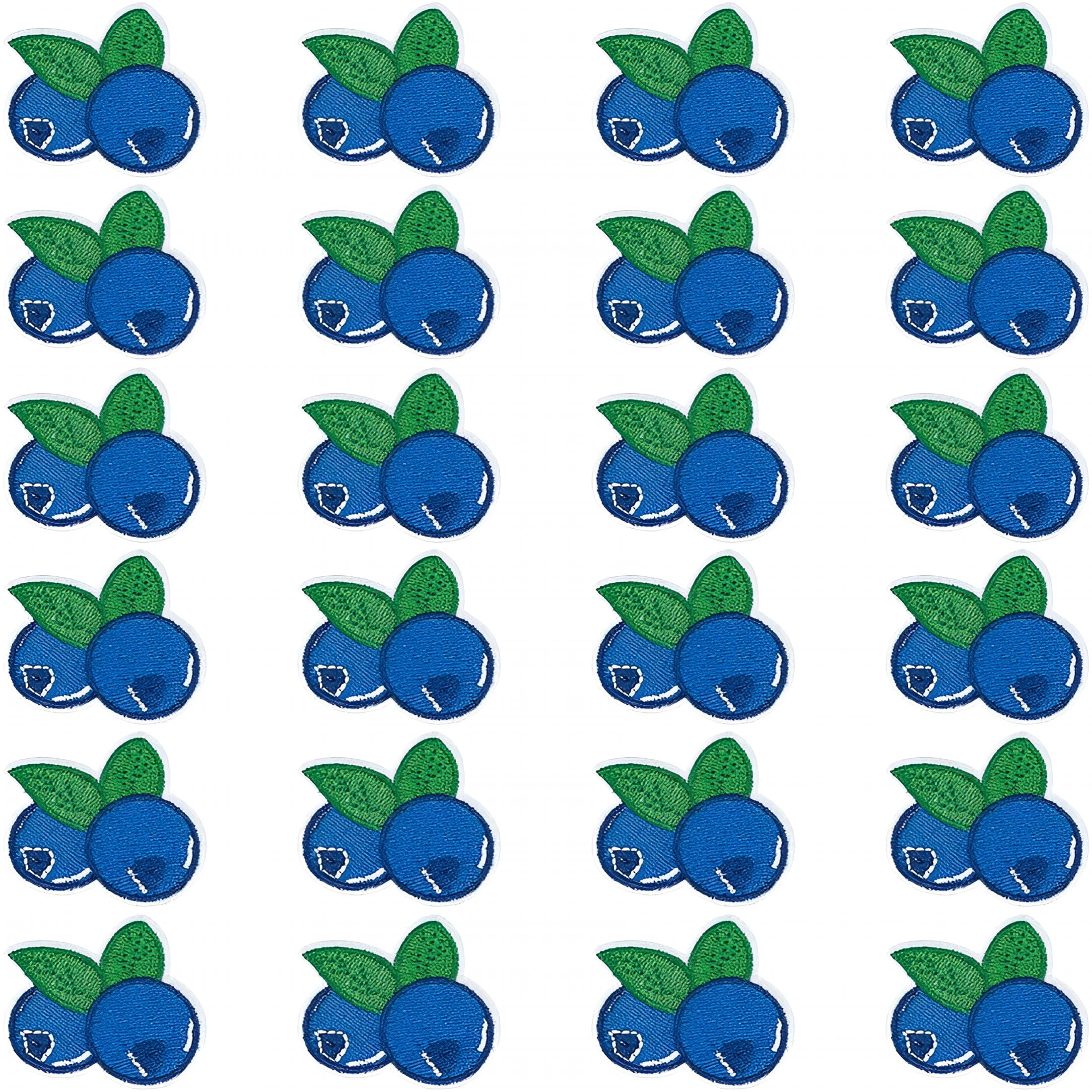 TELOLY 24Pcs Blueberry Iron on Patches 1.2X1.3X0.06 Inch Embroidered ...