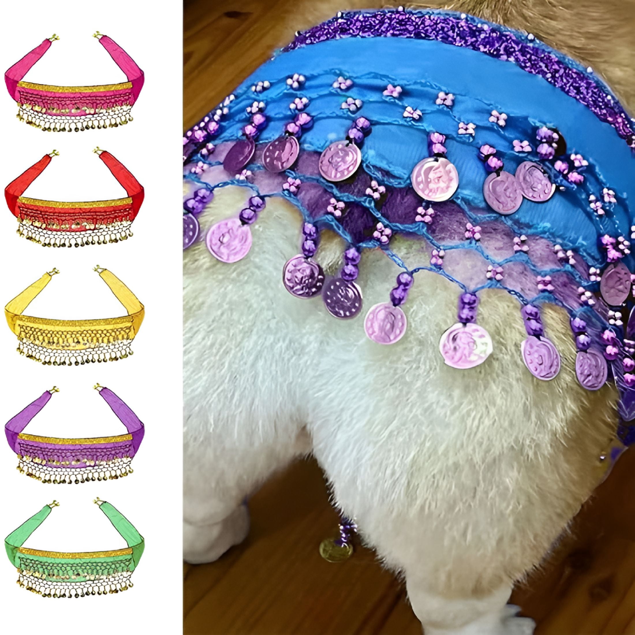 TELOLY Belly Dancer Skirt for Dogs Corgi Costume for Dogs Passionate ...