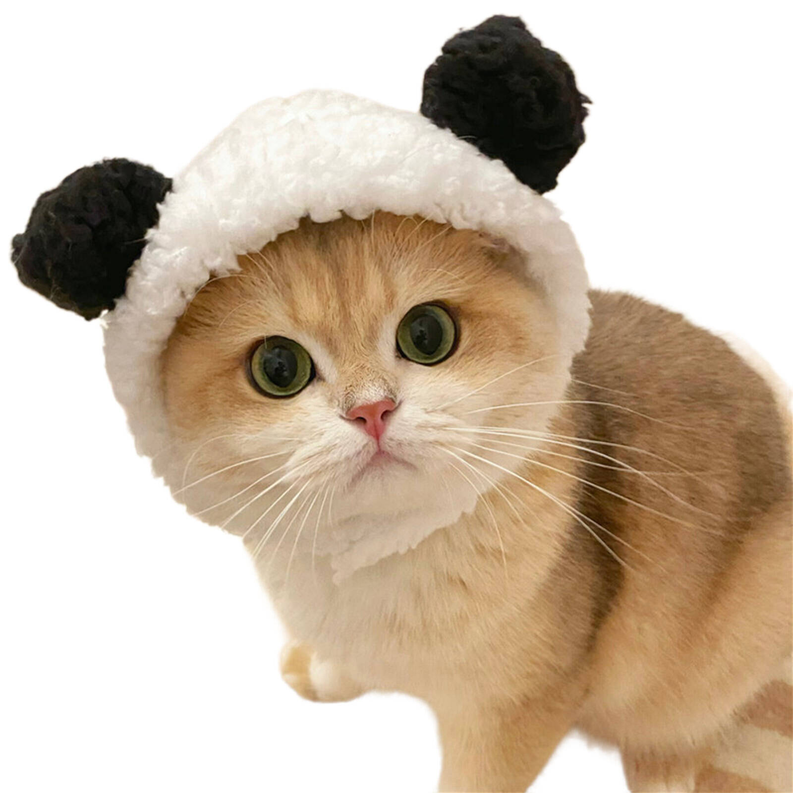 TELOLY Christmas Pet Hat,Playful Animal-Themed and Cozy Fit Cat Hats ...
