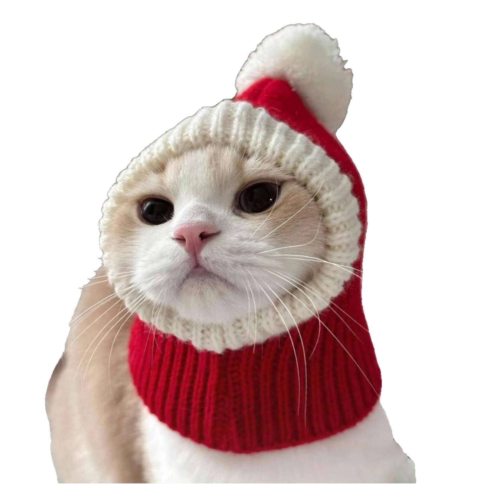 TELOLY Christmas Pet Hat,Soft Knit Christmas Santa Hat for Dog,Reindeer ...