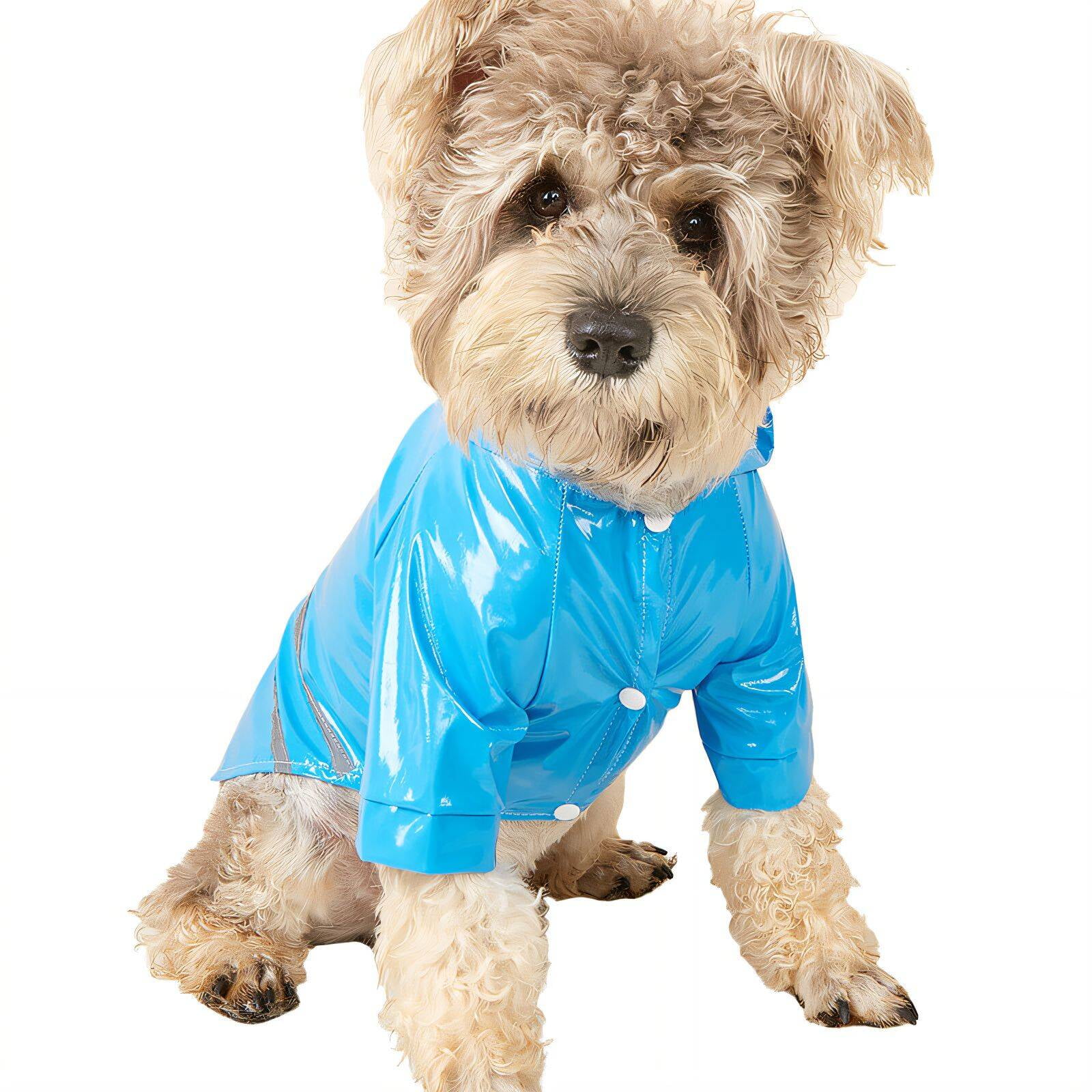 TELOLY Dog Raincoat,Flexible Fit Waterproof Dog Coat,Provides Maximum ...