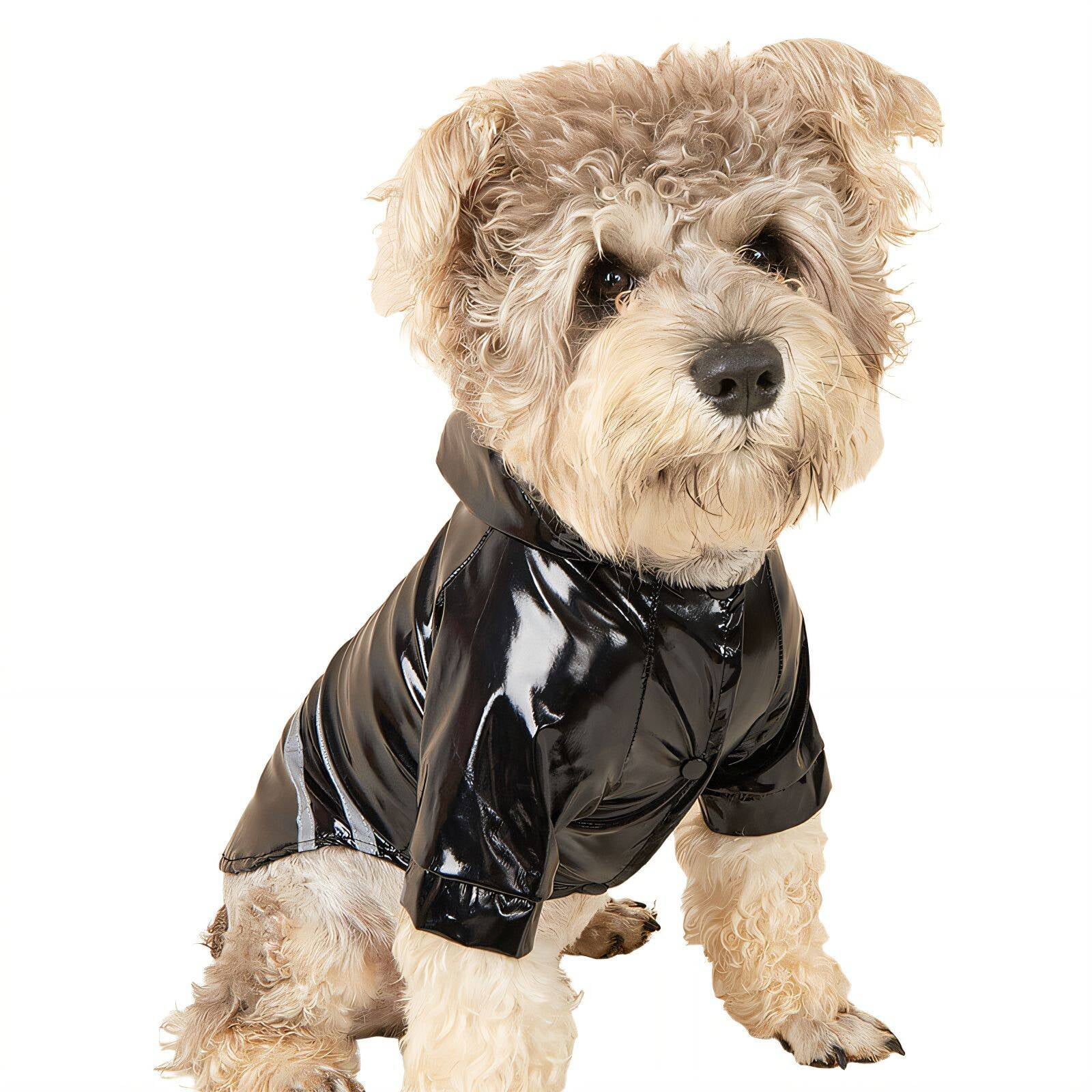 TELOLY Dog Raincoat,High-Visibility Design Dog Coats,Enhances Safety in ...
