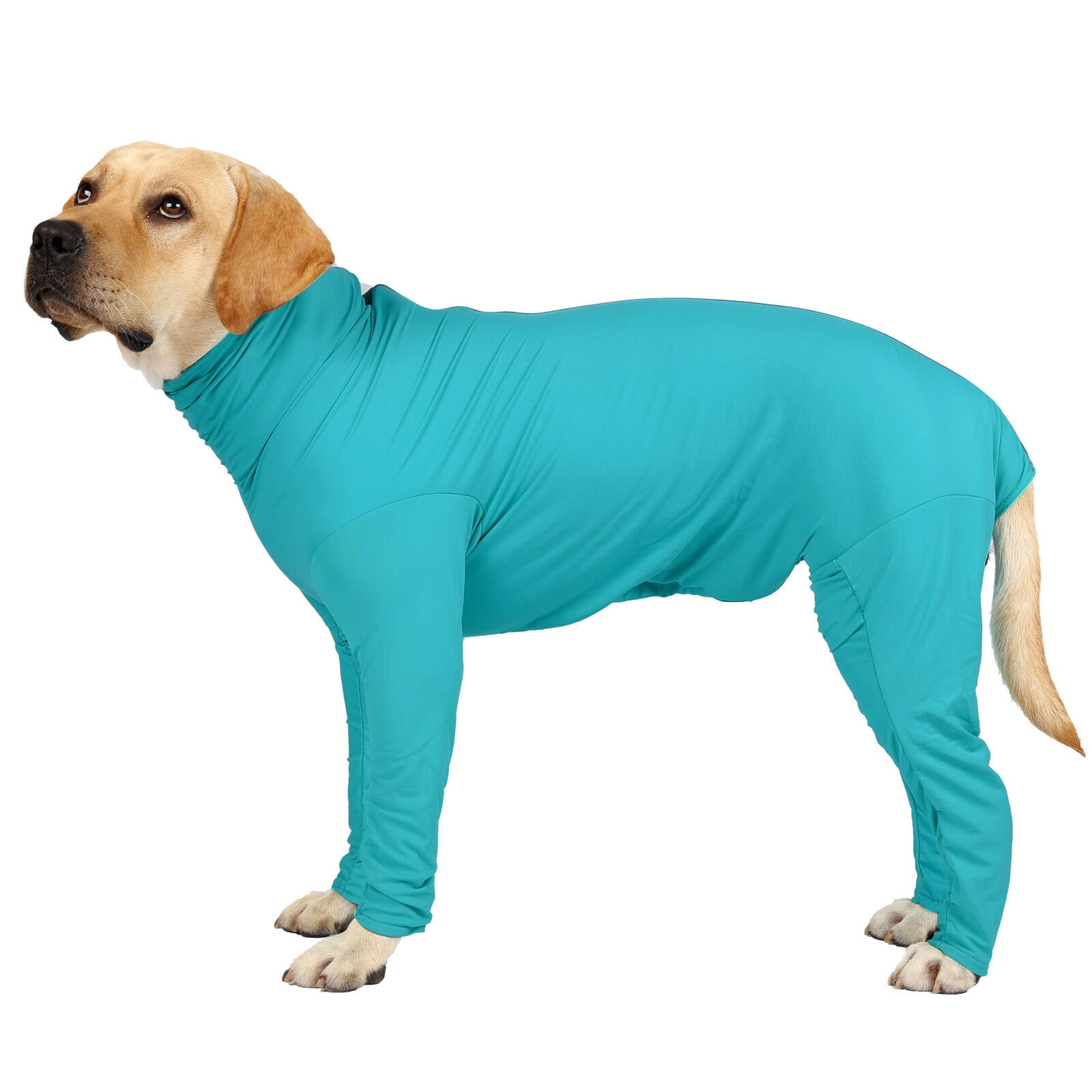 TELOLY Dog Surgery Suit Full-Body Enveloping Shield Anti Dog Shedding ...