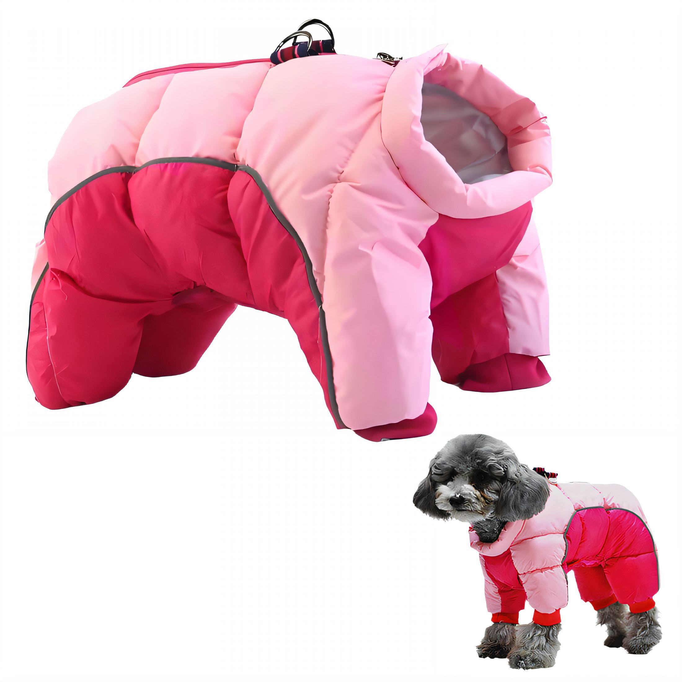 TELOLY 1Pcs Dog Winter Coat,Cotton Dog Sweaters for Small Dogs Girl,Boy ...