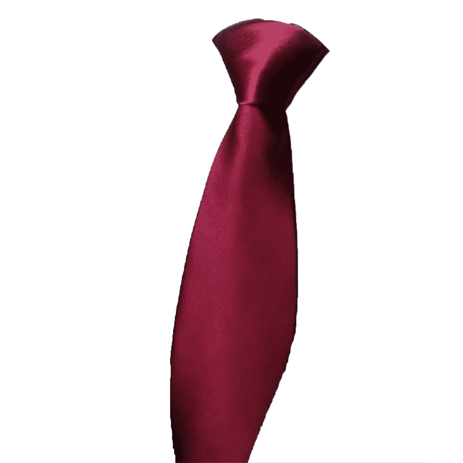 TELOLY Zipper Tie Zipper Tie That Stays Neat and Polished All Day Long ...