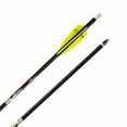 TENPOINT Pro Elite 400 Carbon Crossbow Arrows with Aluminum Inserts ...