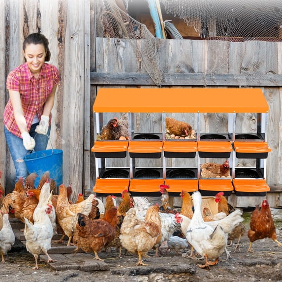 TEQIN Chicken Nesting Boxes,6-10 Hole Large Metal Hen Laying Box with ...