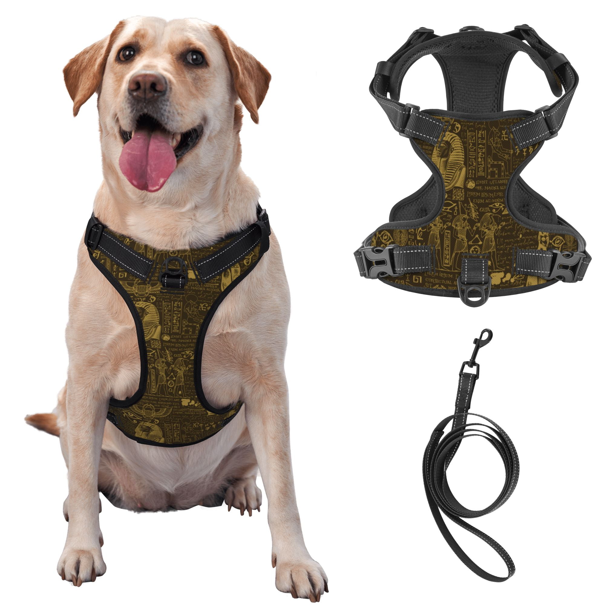 TEQUAN Medium Dog Harness with Leash, Ancient Egyptian Sphinx Prints ...
