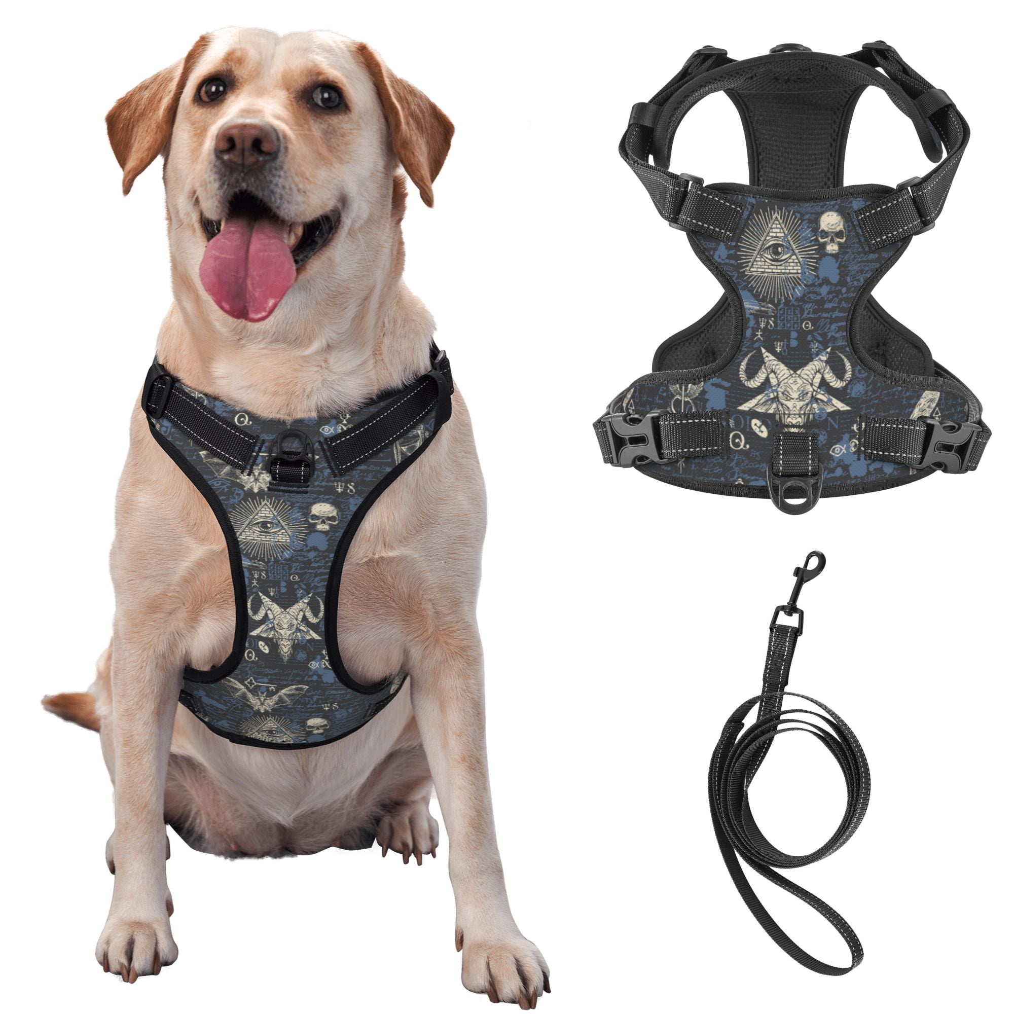 TEQUAN Medium Dog Harness with Leash, Occult Gothic Skulls Eyes Prints ...