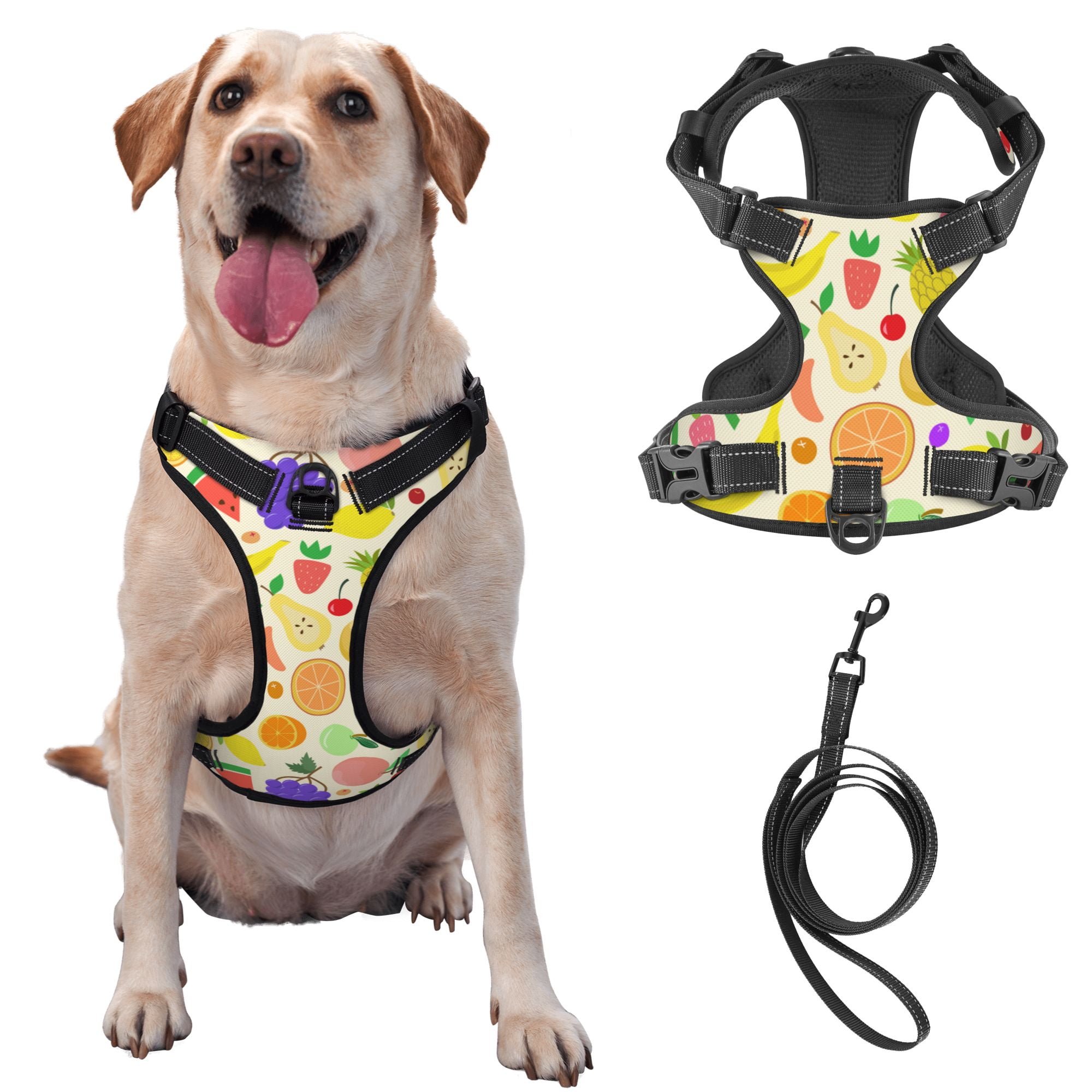 TEQUAN Small Dog Harness with Leash, Carton Flat Tropical Fruits Prints ...