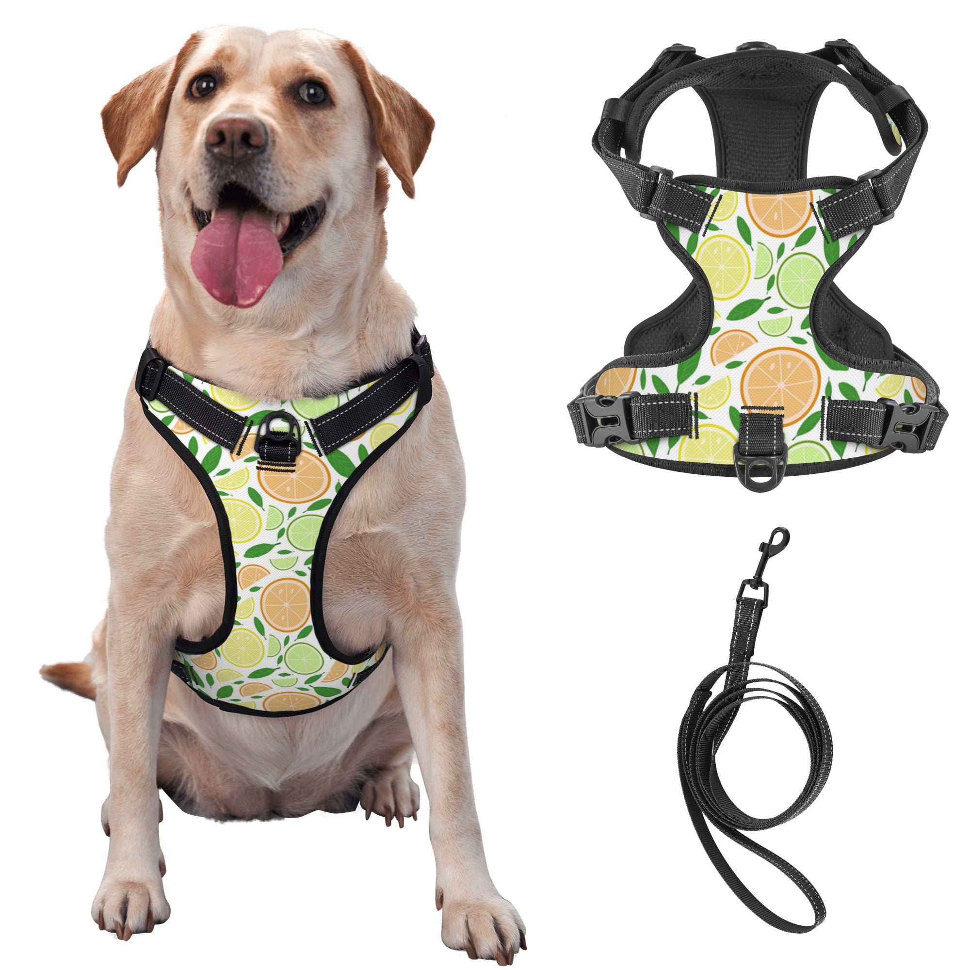 TEQUAN Small Dog Harness with Leash, Cartoon Lemon Orange Slices Prints ...