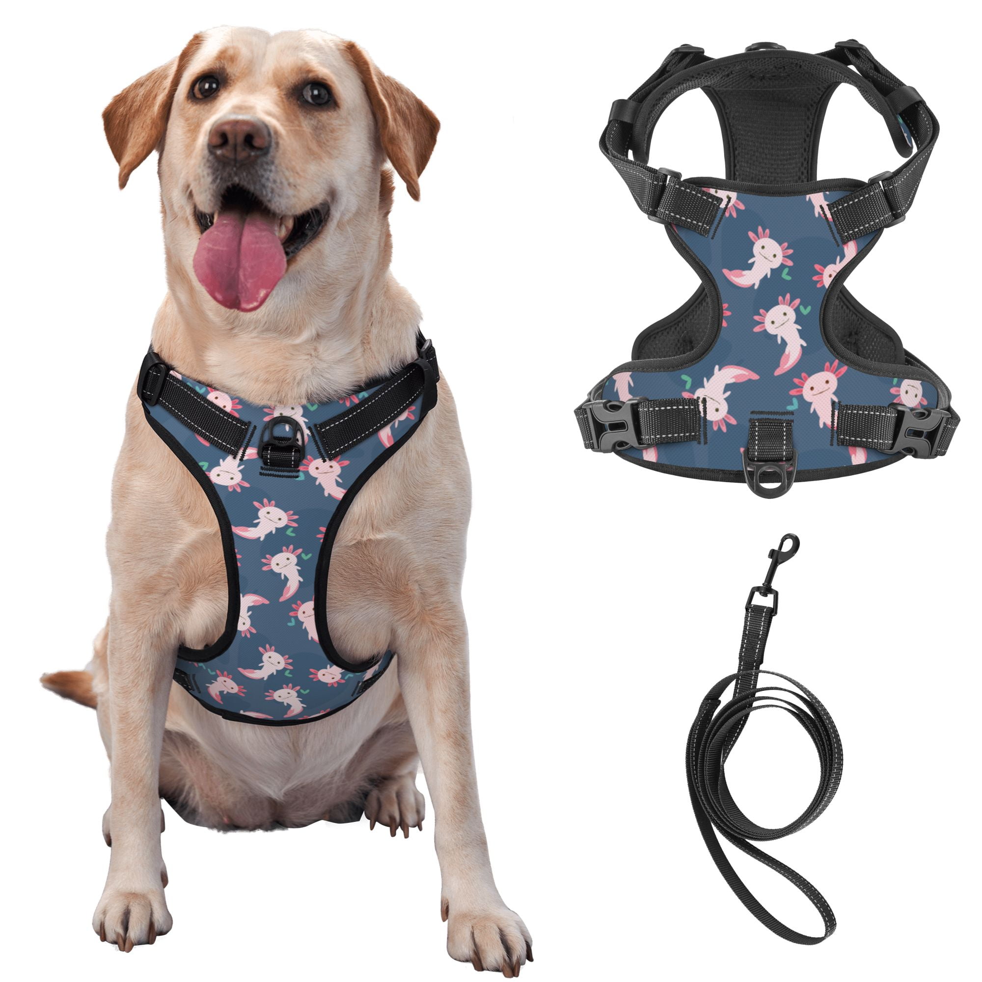 TEQUAN Small Dog Harness with Leash, Cute Axolot Lizard Animal Prints ...