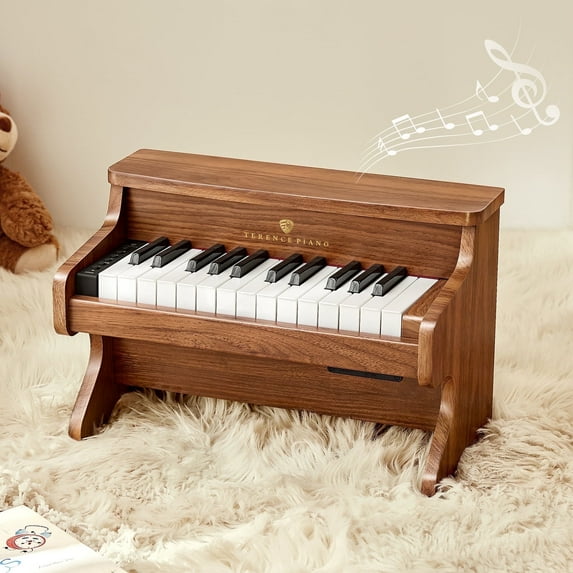 TERENCE Kids Piano, 25 Keys, Toddler Mini Piano Music Educational ...