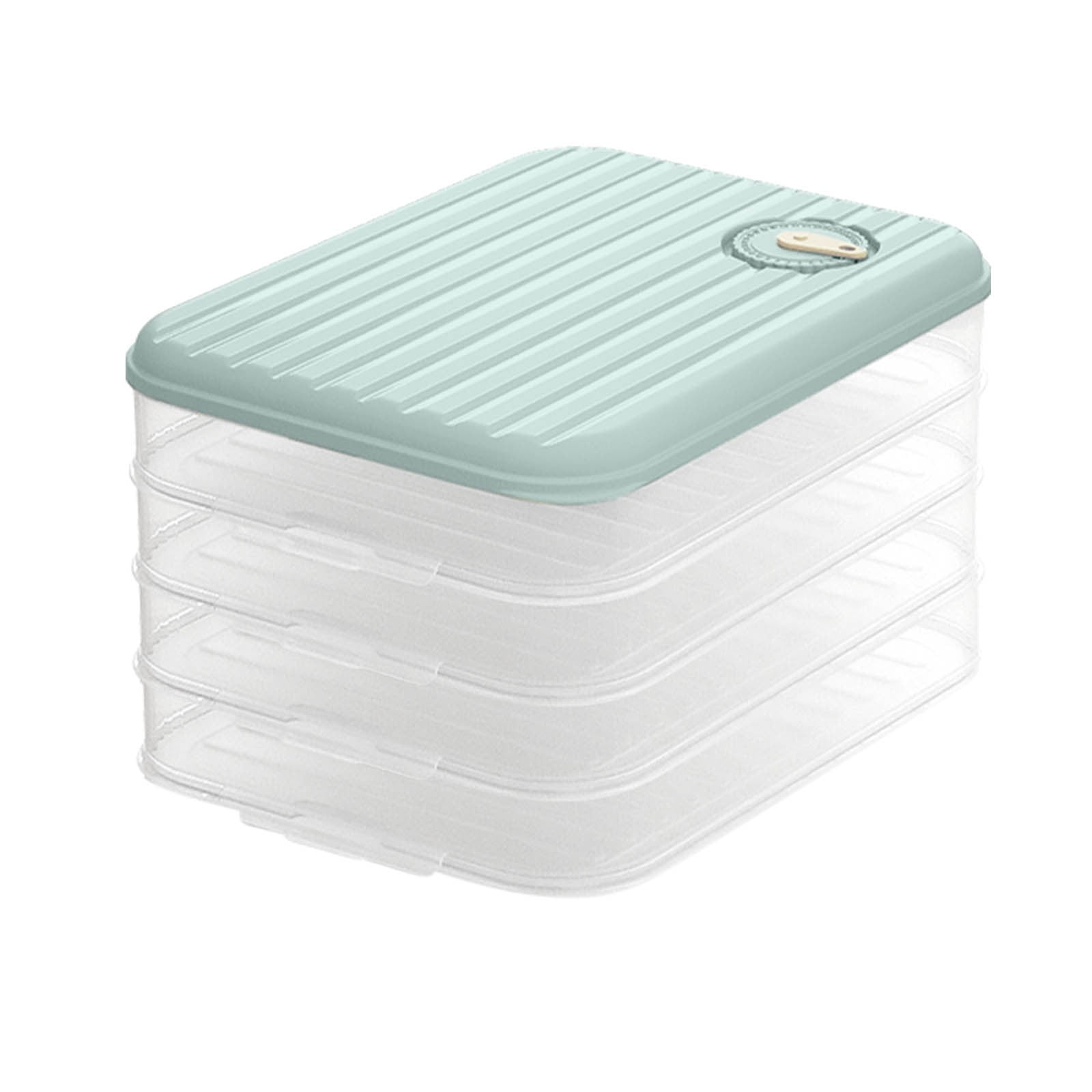 TERGAYEE 4-layer Food Storage Container,Dumpling Organizer Transparent ...