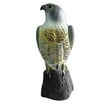 Falcon Decoy Bird Repellent Predator Flashy Reflective Eyes Owl Decoy ...