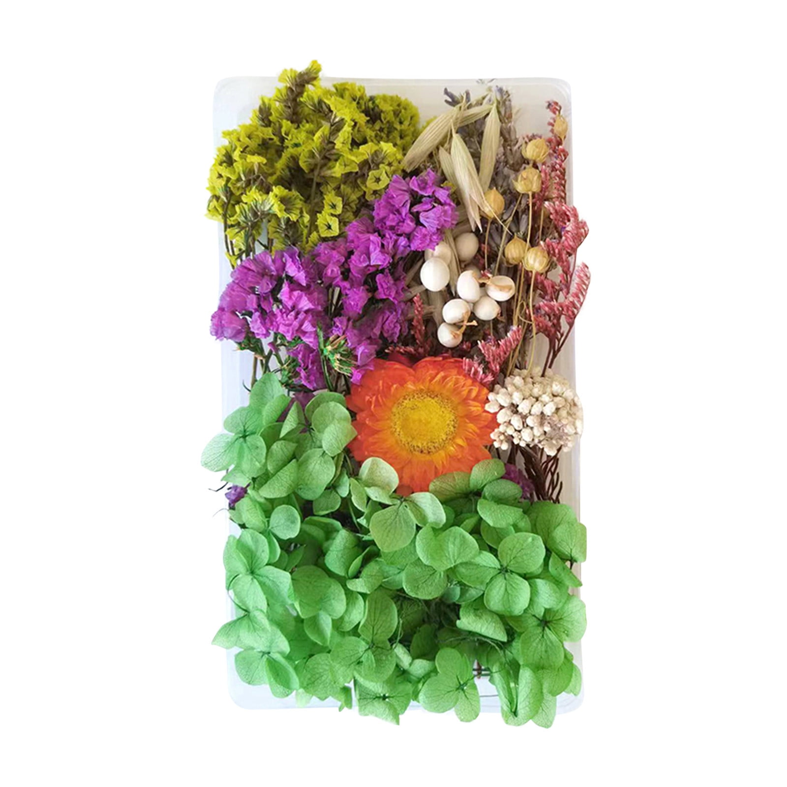 TERGAYEE Dried Flowers Material Kit DIY Everlasting Flowers Material ...