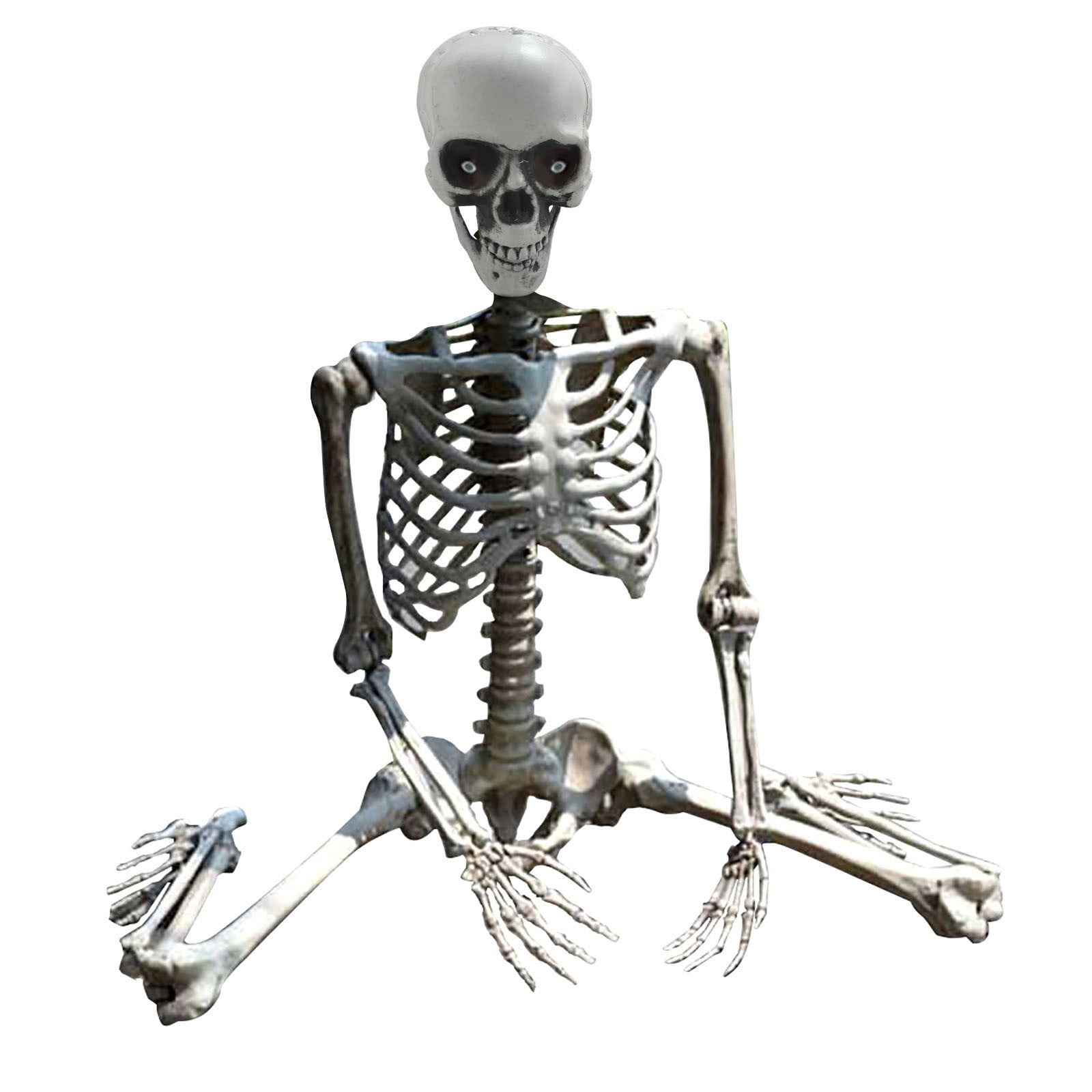 TERGAYEE Halloween Decorations,27.56in/35.43in/66.93in Skeleton Prop ...