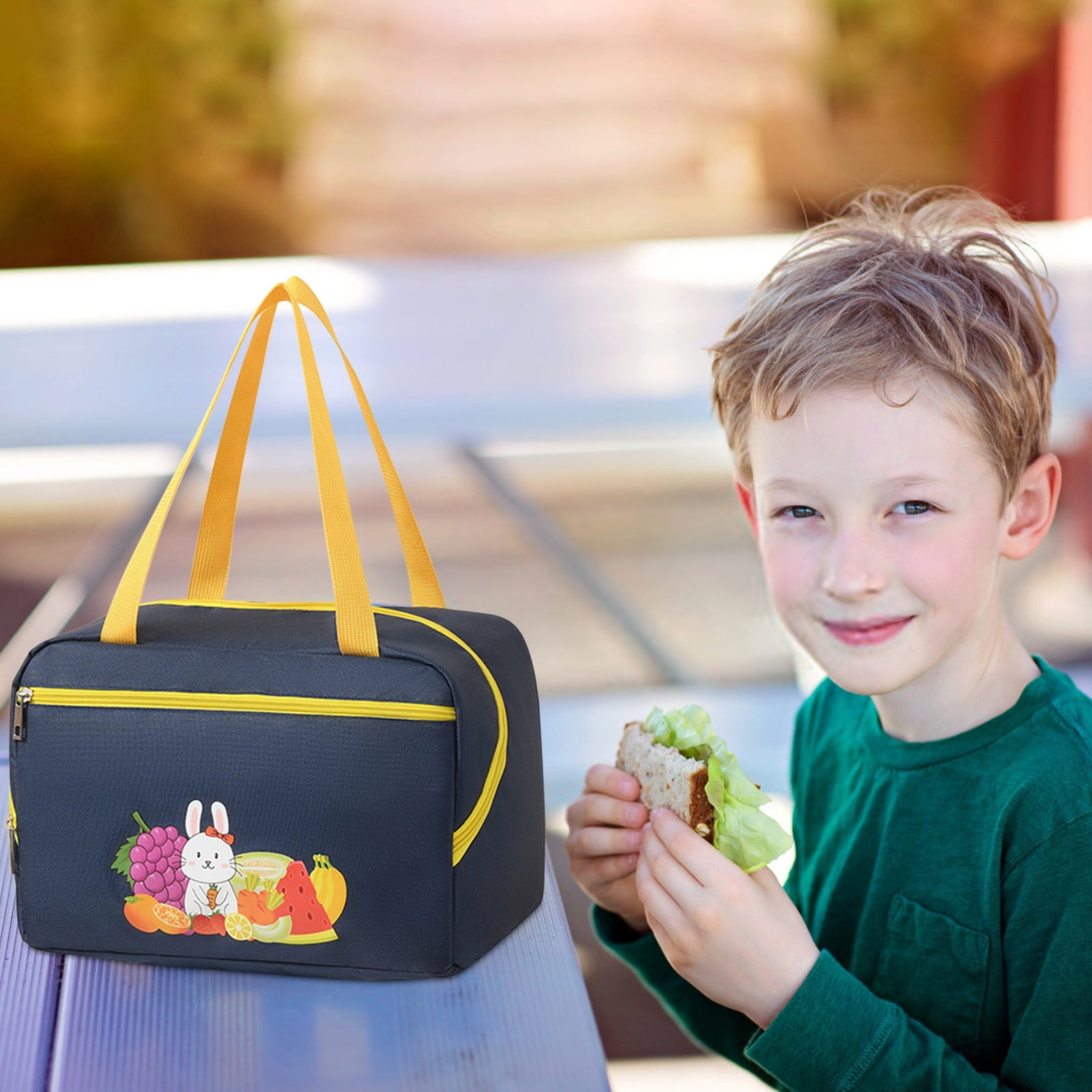 TERGAYEE Lunch Bag Portable Lunch Bag Handheld Picnic Bag Insulated ...