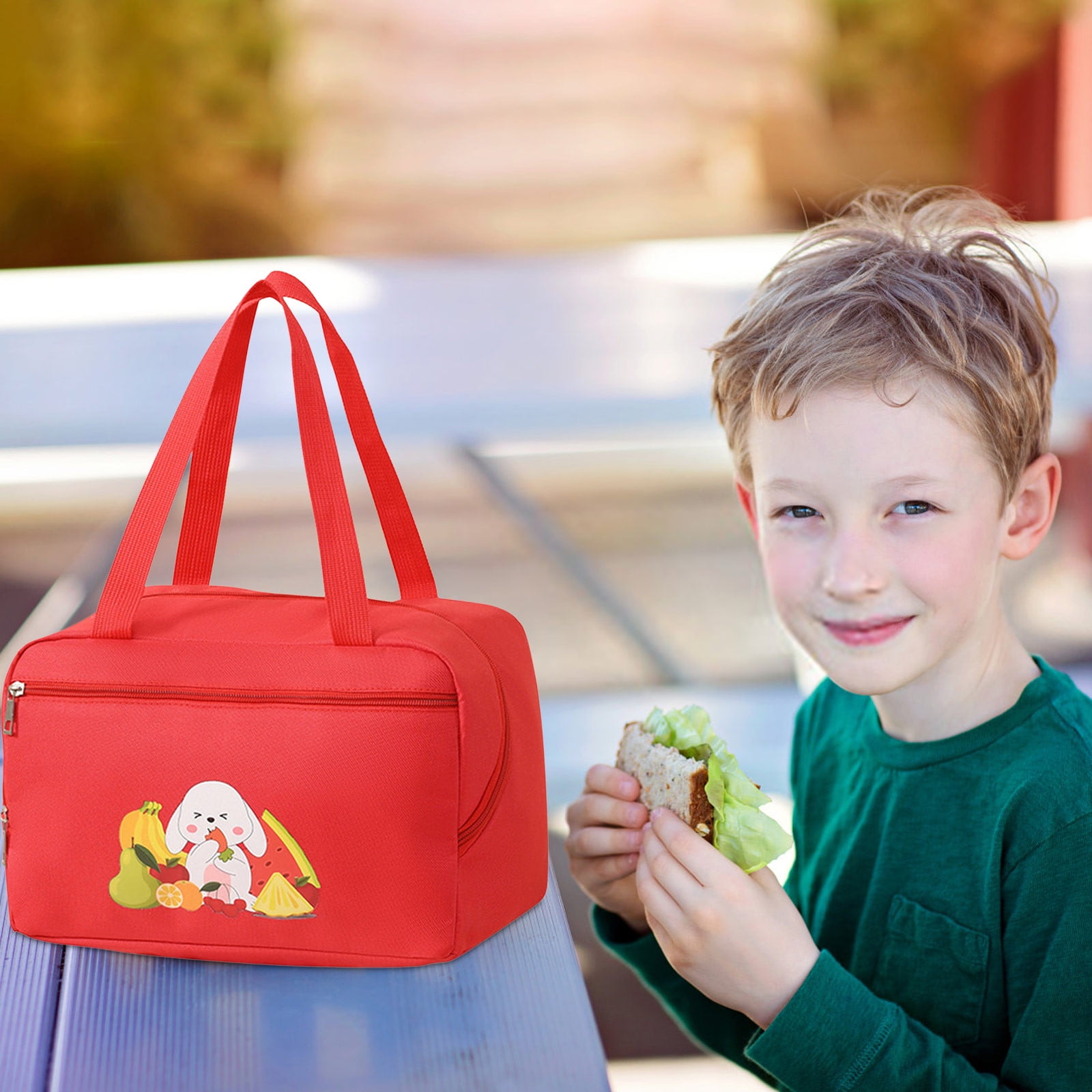 TERGAYEE Lunch Bag Portable Lunch Bag Handheld Picnic Bag Insulated ...