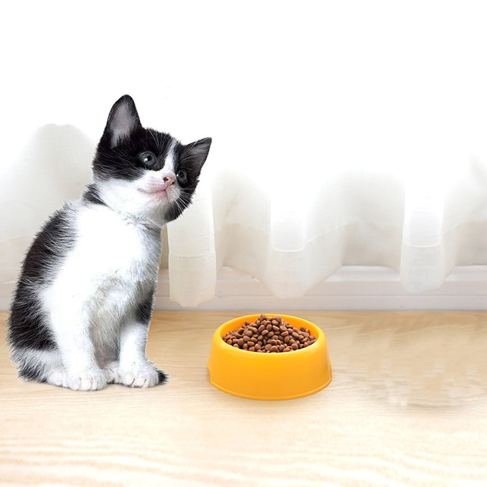 TERGAYEE Pet Supplies Thickened Round Pet Bowl Pet Supplies Cats and ...