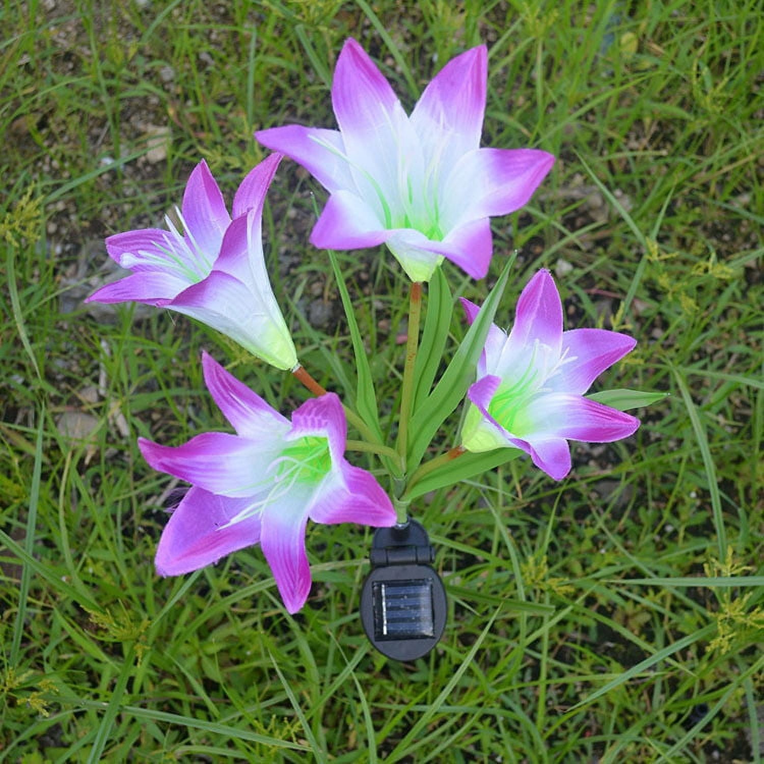 TERGAYEE Solar Lights Outdoor Garden,Led Solar Lily Flower Solar Garden ...