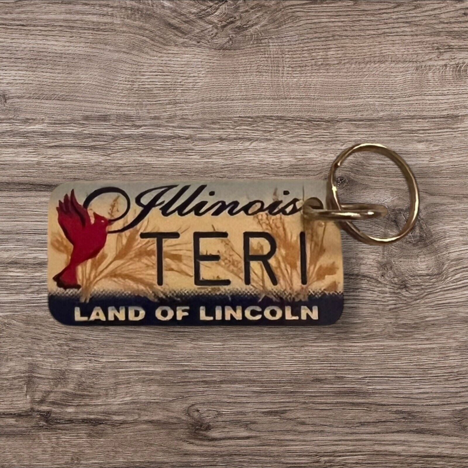 TERI Name Keychain License Plate Illinois Land of Lincoln Great Holiday ...