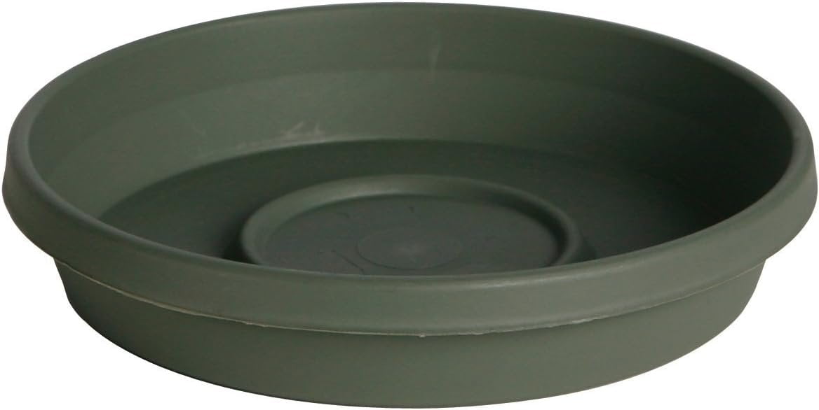 TERRATRAY LIV GREEN 12" - Walmart Business Supplies