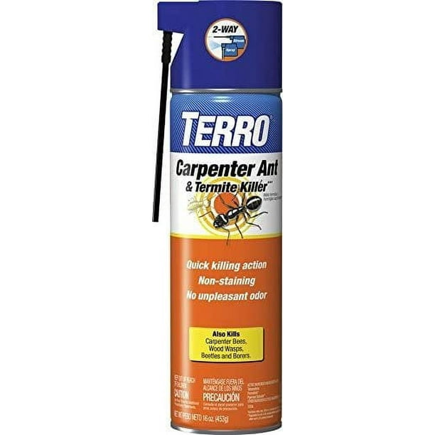 Terro 16oz Aerosol Carpenter Ant & Termite Killer Spray, 1 Pack, Orange ...