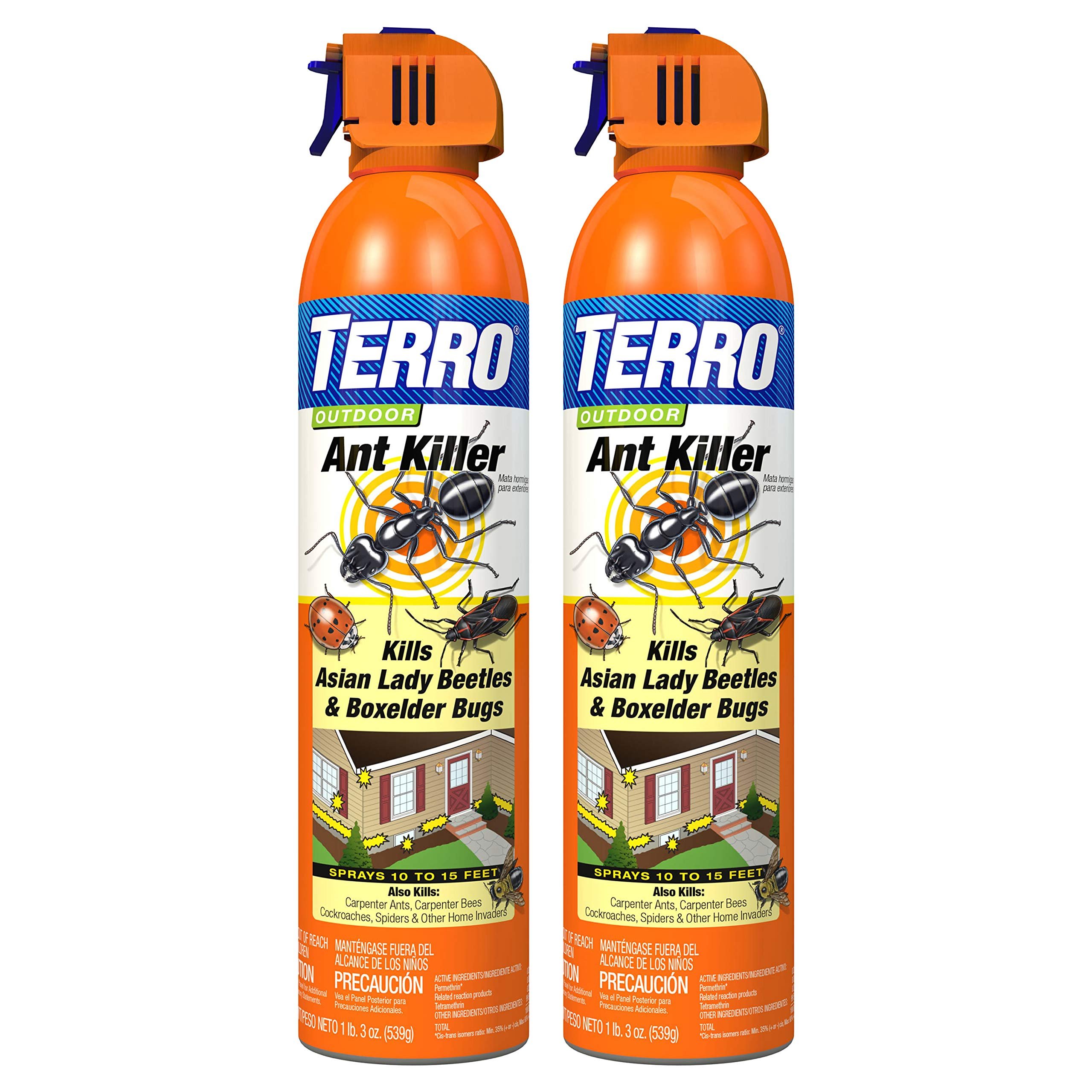 2-pack TERRO T1700SR 2 Pack 19 oz Outdoor Ant Killer Spray, White ...