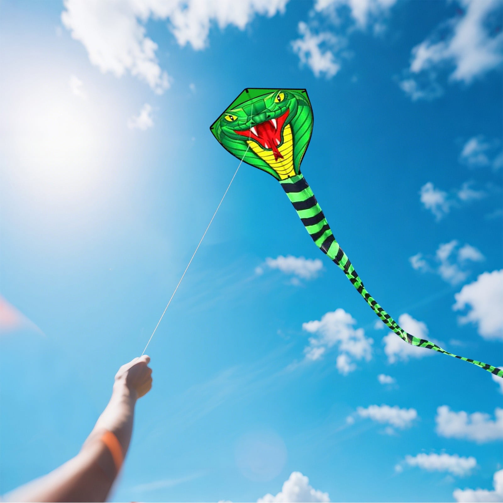 TETAIA 28 INCH Kite Large Snake Kite Fly Toys Ripstop Nylon Kite Sports ...