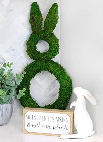 TETAIA Auld Home Design Easter Spring Moss Wreath Base, Bunny Rabbit ...