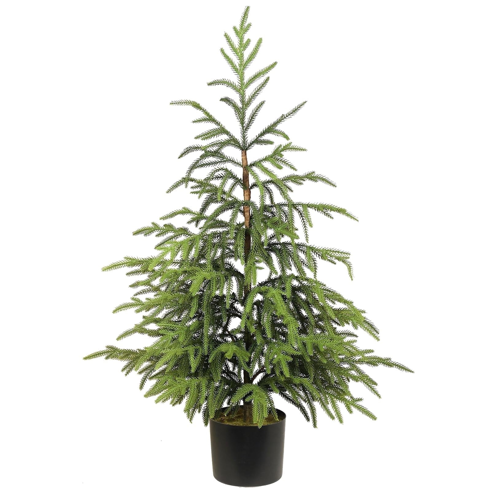 TETOU 3Ft Norfolk Pine Christmas Tree, Artificial Green Norfolk Pine ...