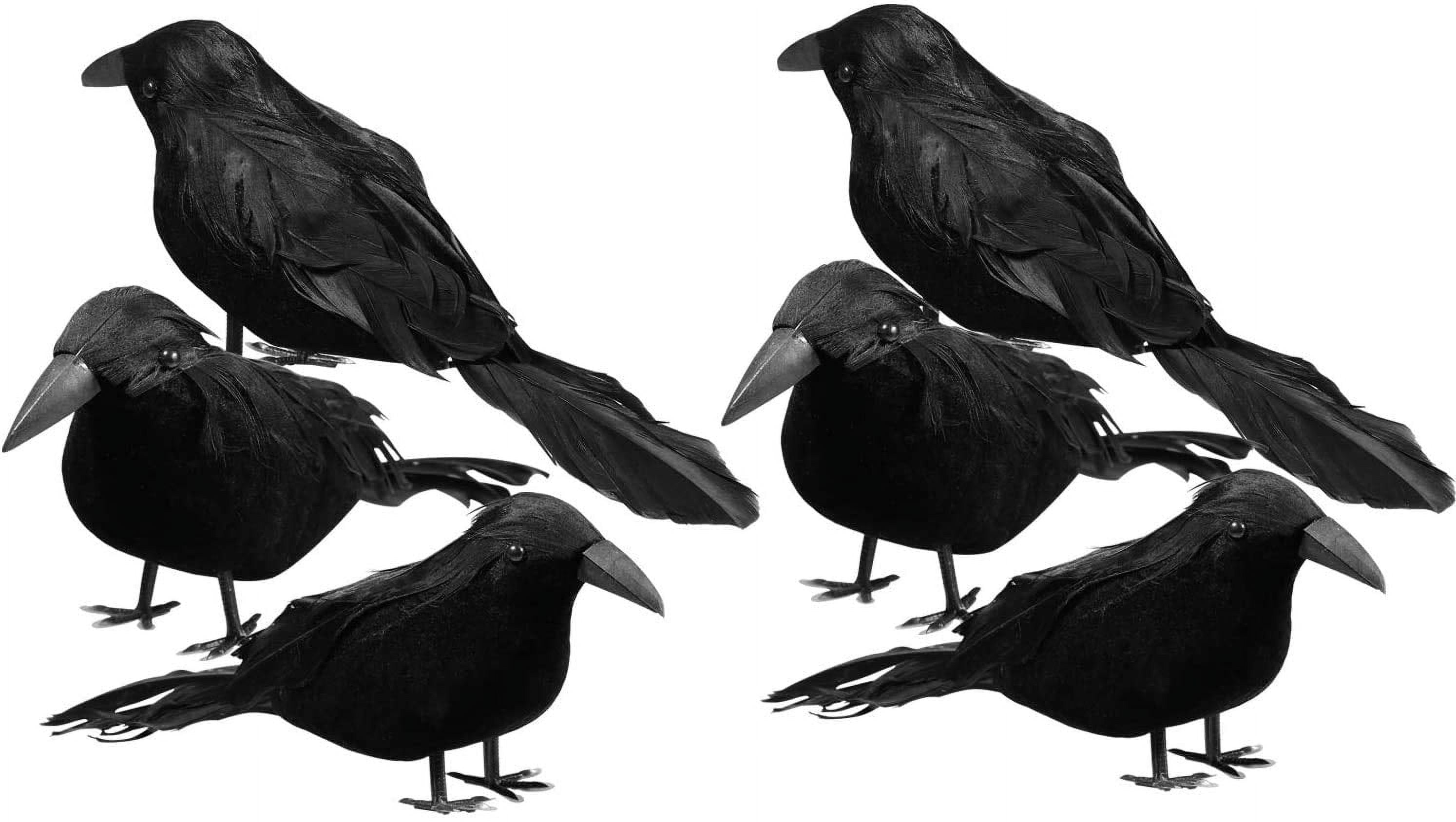 TETOU 6pcs Halloween Black Feathered Foam Crows Realistic Bird ...