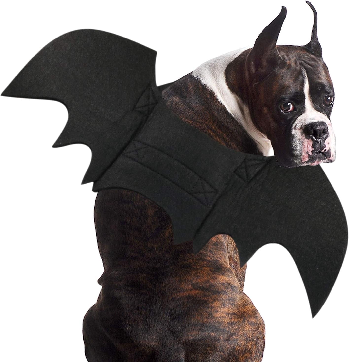 TETOU Dog Bat Costume, Halloween Pet Costume Bat Fairy Wings Cosplay ...