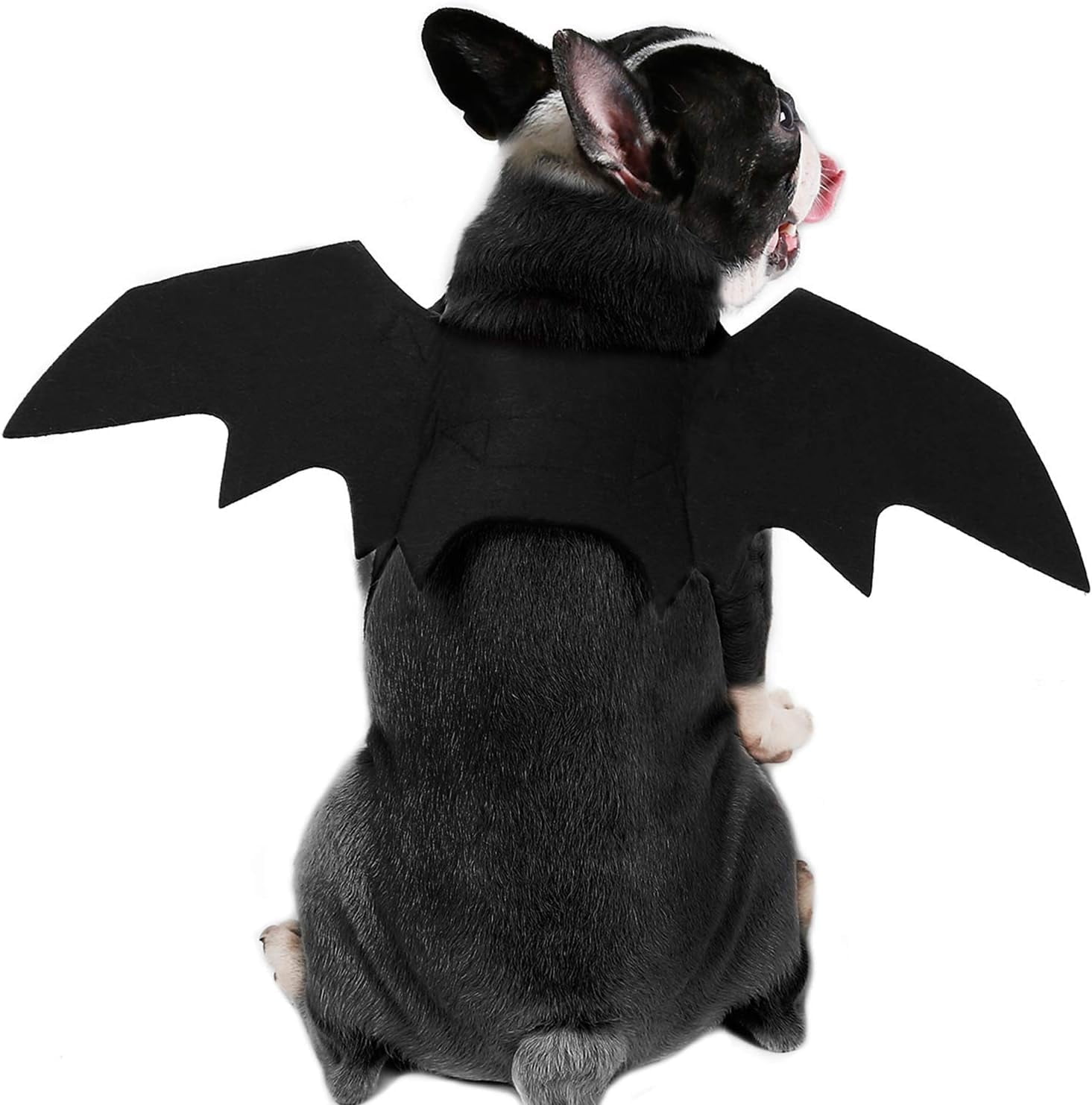 TETOU Dog Bat Costume, Hallowe'en Pet Costume Bat Fairy Wings Cosplay ...