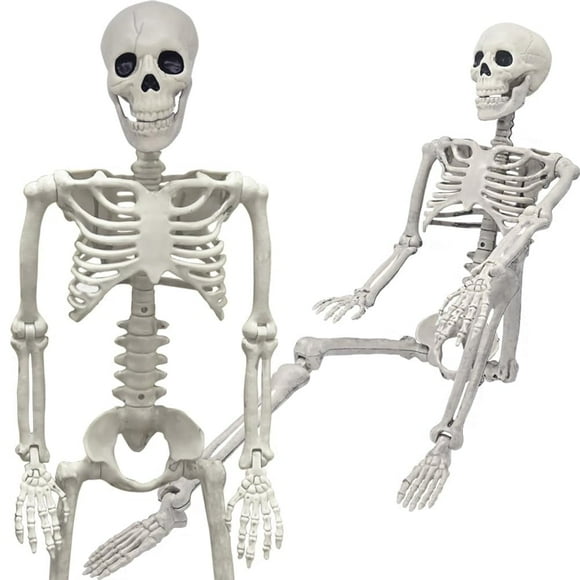 Posable Skeleton