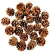 kiskick 20Pcs Mini Decorative Fake Pine Cones, Small DIY Craft for Home ...