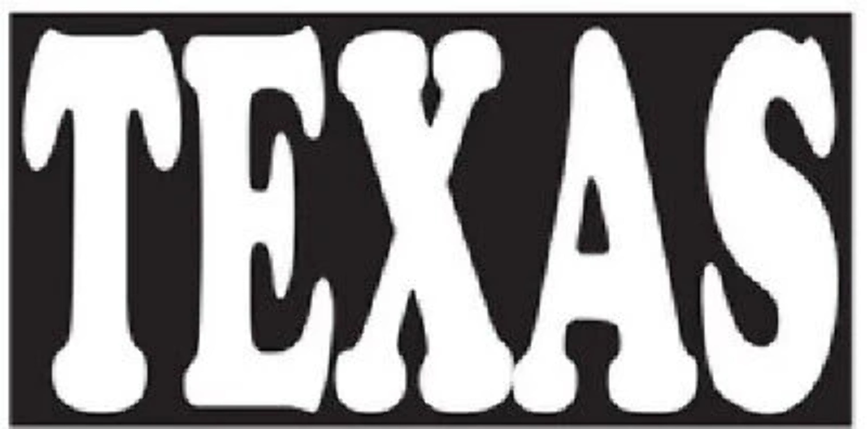 TEXAS BORDER PATROL BLACK Vinyl Decal Bumper Sticker - Walmart.com