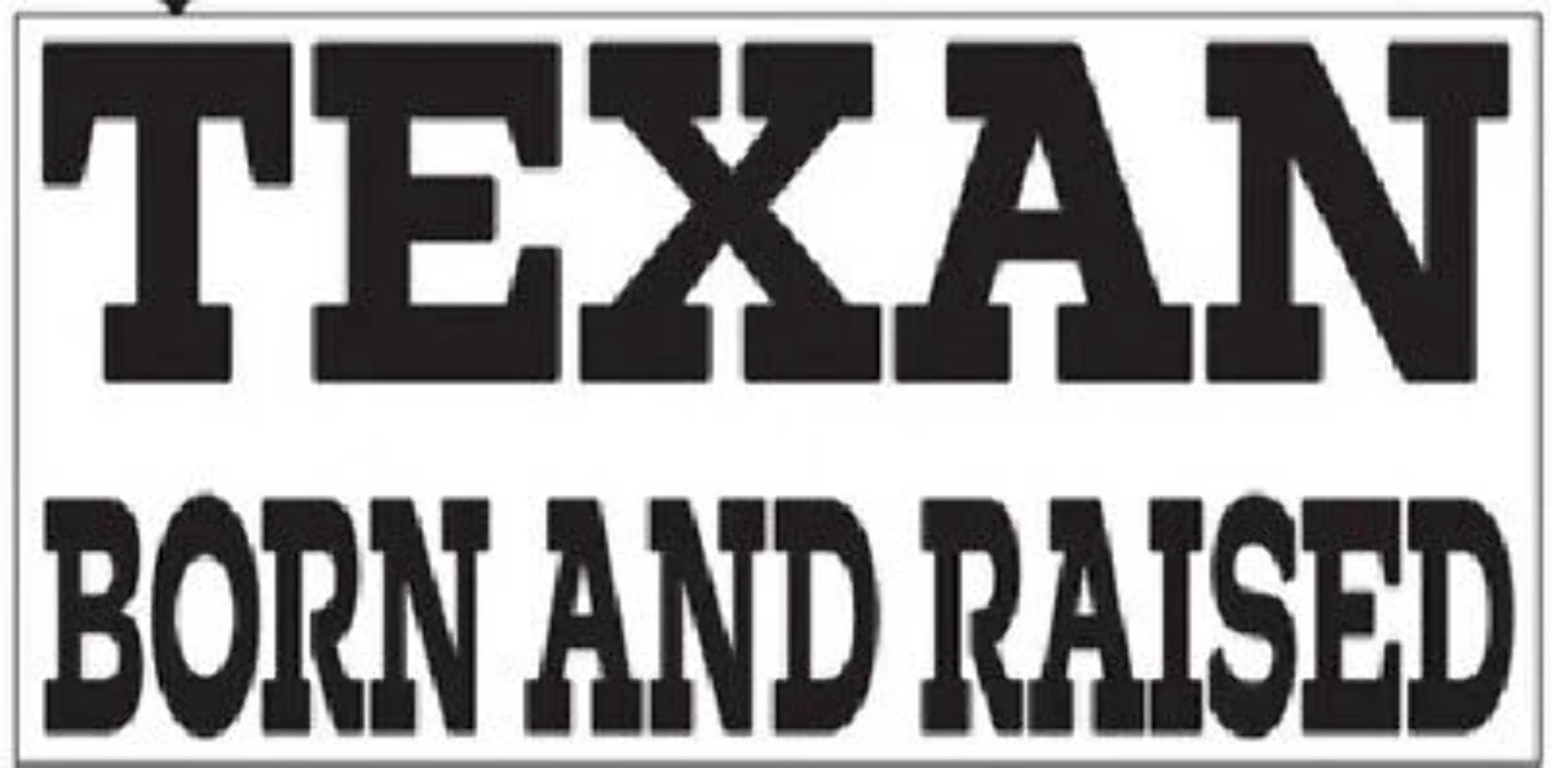 TEXAS TEXAN BORN AND RAISED BORDER PATROL BLACK Vinyl Decal Bumper ...