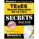 TExES Special Education Ec-12 (161) Secrets Study Guide : TExES Test ...