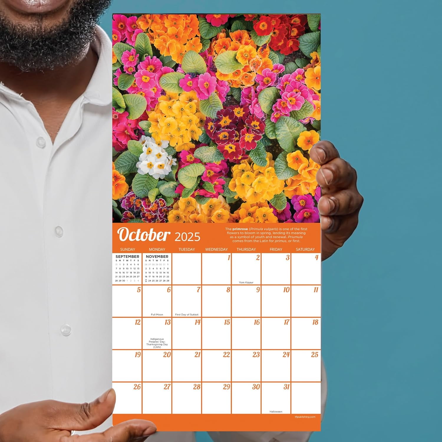 TF PUBLISHING 2025 Flowers Mini Calendar | Premium Gloss Paper ...