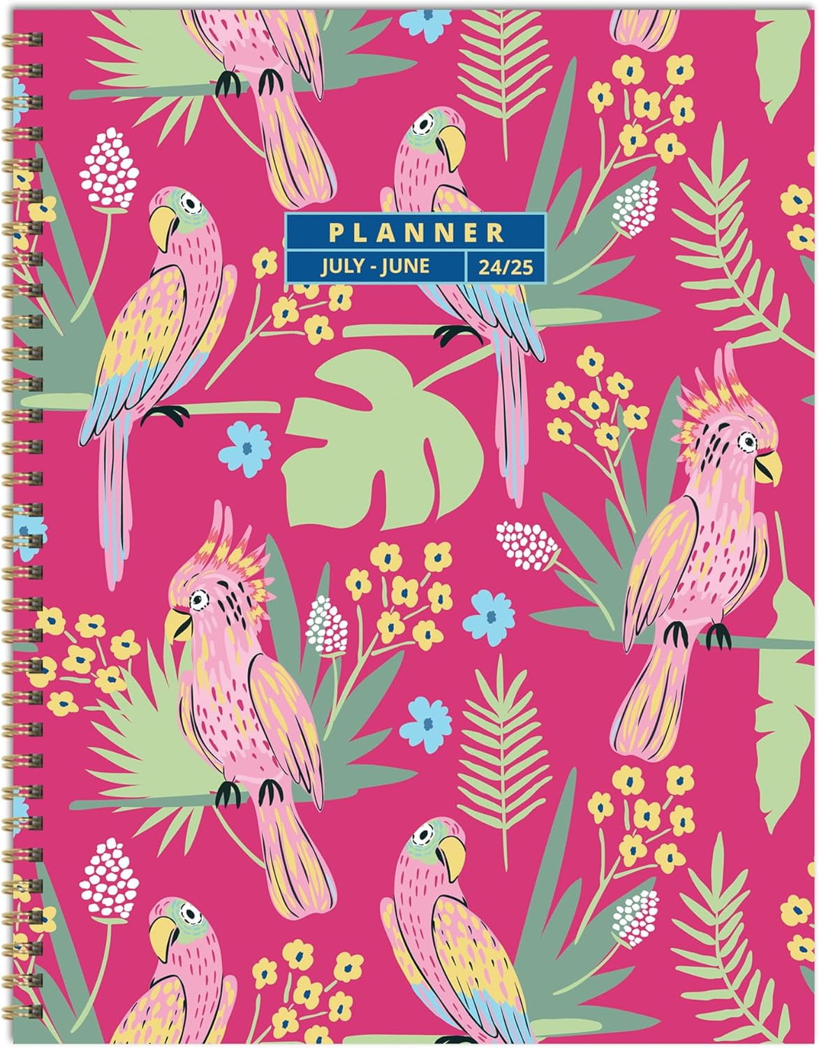 TF PUBLISHING July 2024 - June 2025 Pretty Parrot Large Weekly Monthly ...