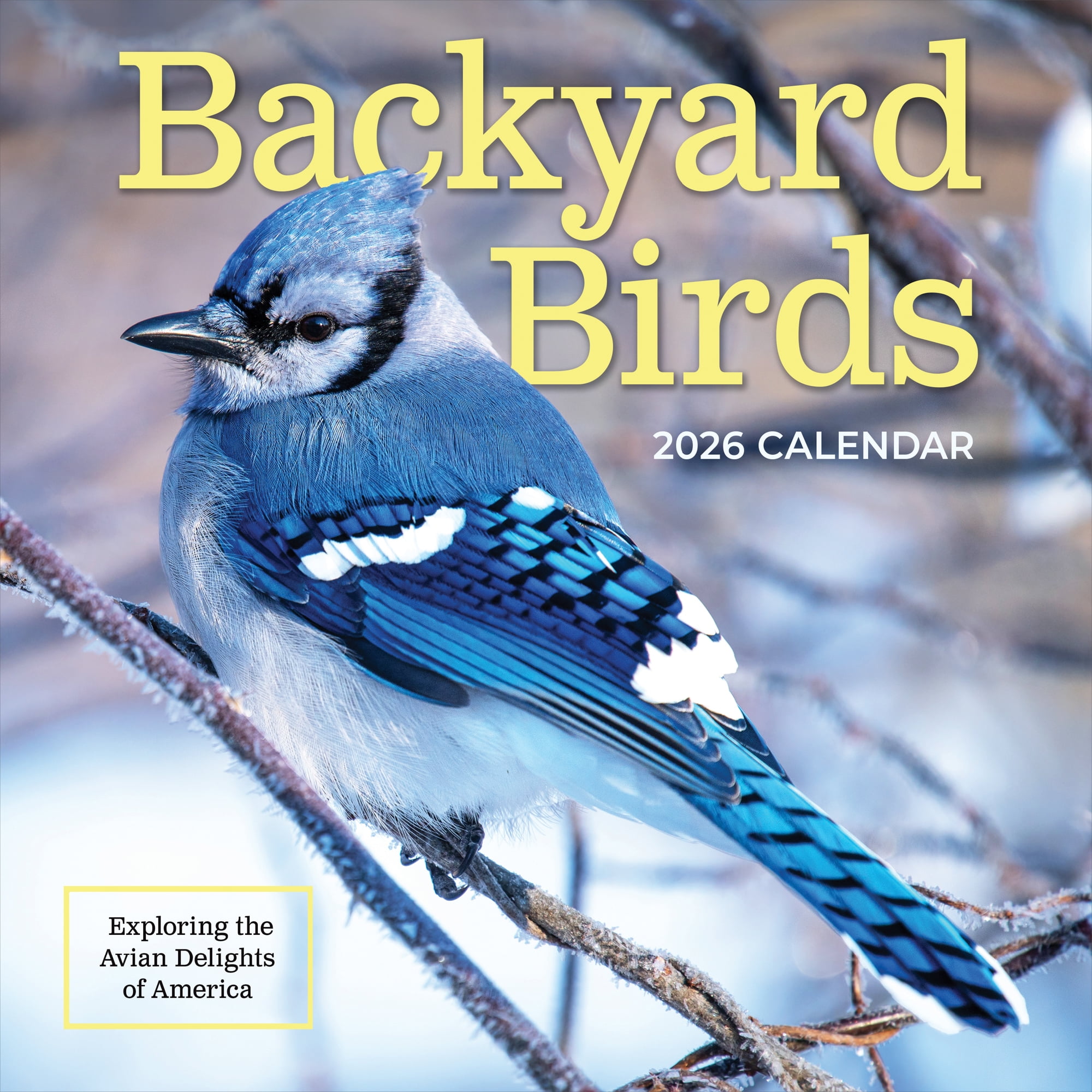 TF Publishing, Backyard Birds 2026 Wall Calendar, 12'' X 12'', 12-Month ...