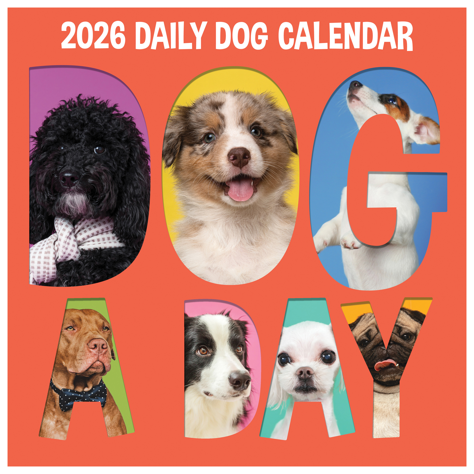 TF Publishing, Dog A Day 2026 Wall Calendar, 12'' X 12'', 12-Month ...