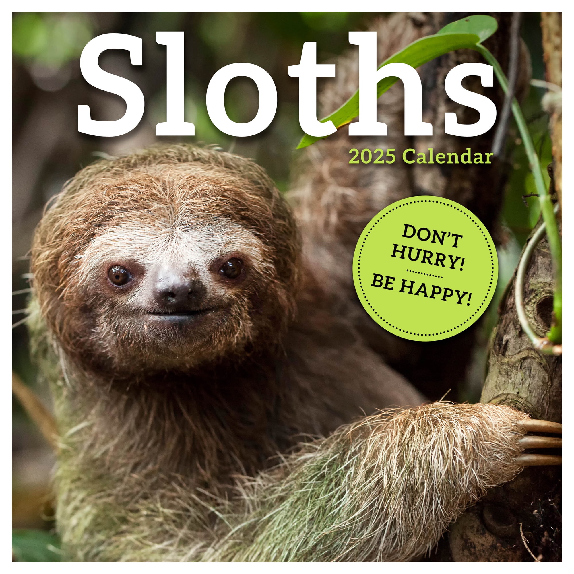 TF Publishing, Sloths 2025 Wall Calendar - Walmart Business Supplies